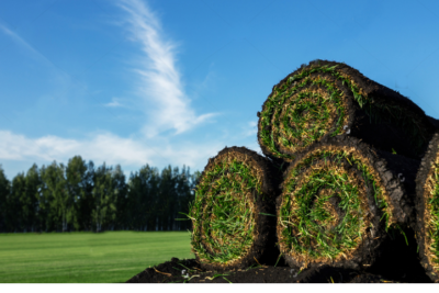 All Round Garden Turf (TTS1) – Talbot Turf