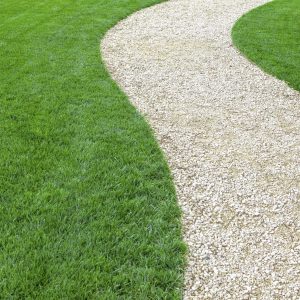 Shop – Talbot Turf