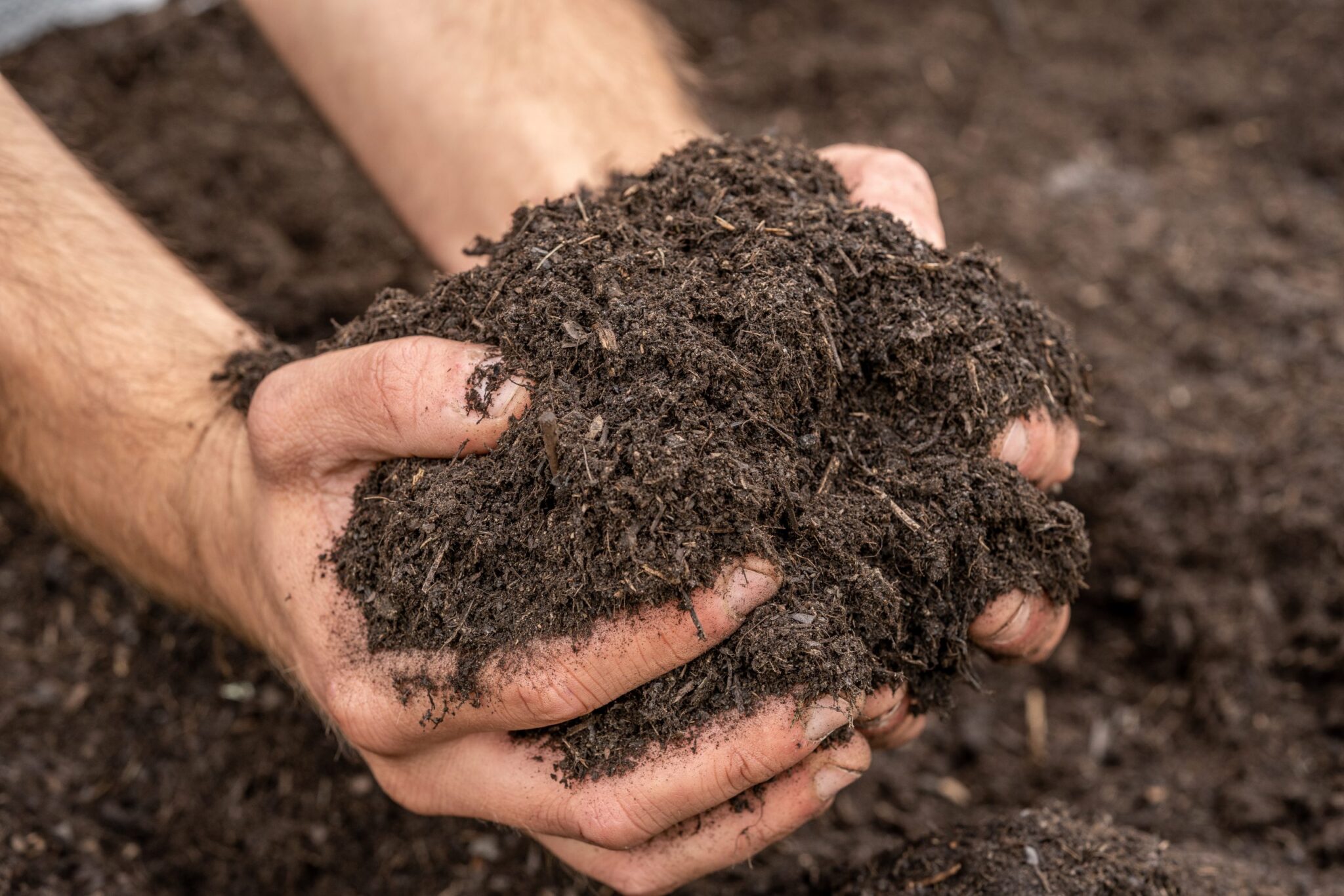 COMPOST BULK (LOOSE) – Talbot Turf